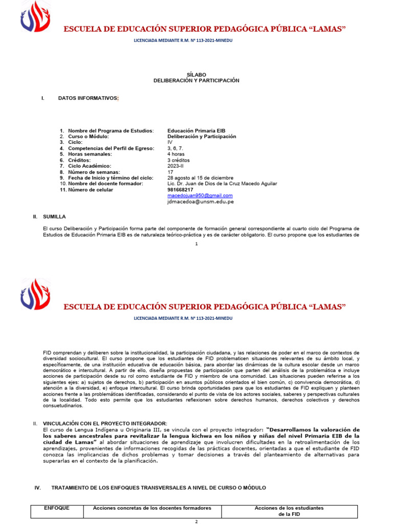 Silabo Delib y Partl - Primaria | PDF | Evaluación | Aprendizaje