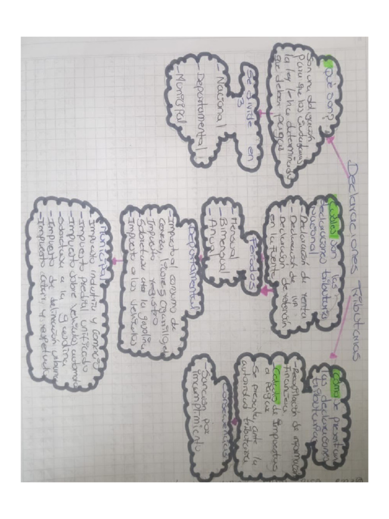 Mapa Conceptua Dclaraciones | PDF