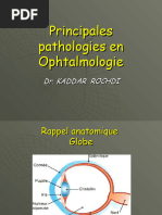 Anatomie de la Conjonctive Oculaire | PDF | Cornée | Épithélium