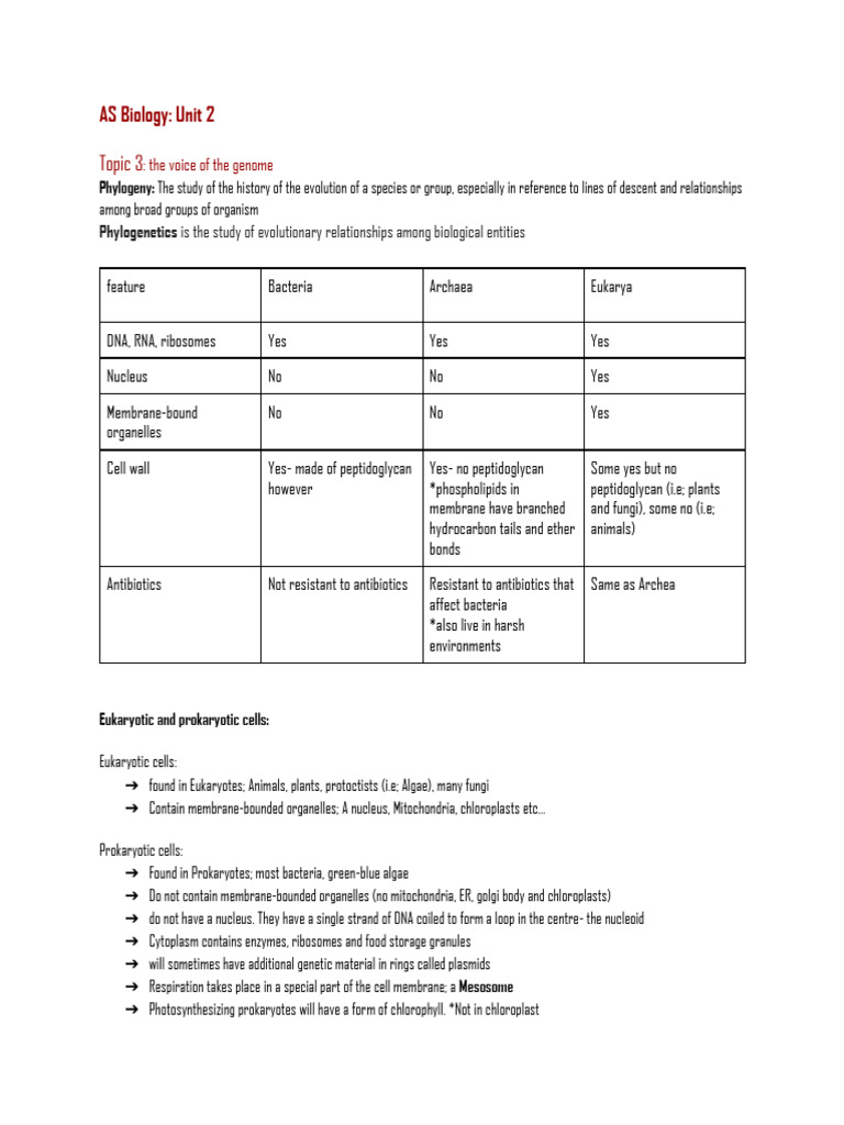 Revision As Biology Unit 2 Notes Edexcel Download Free Pdf Meiosis Eukaryotes 