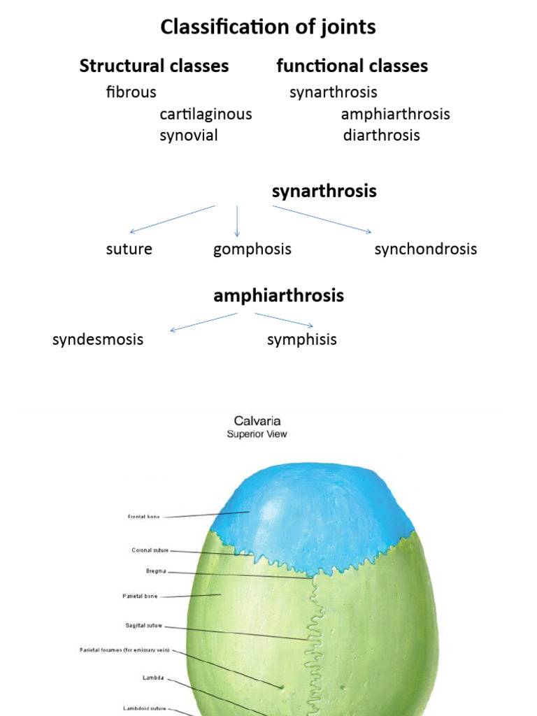 Joints General Part Pdf