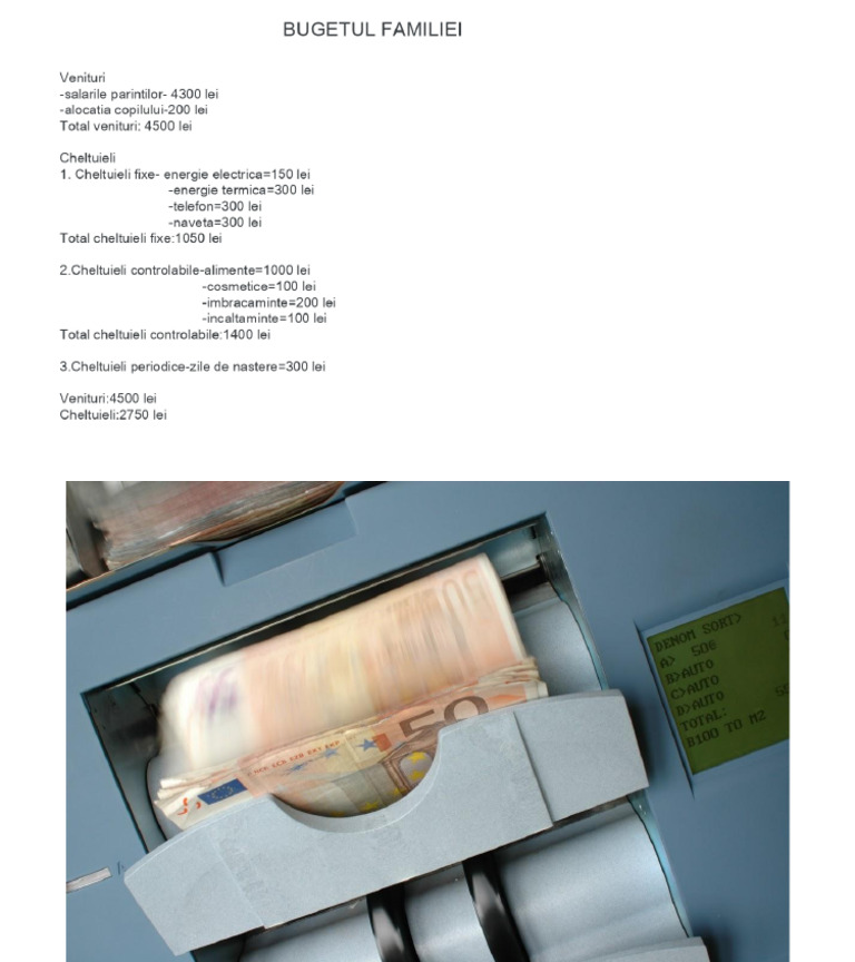 Bugetul Familiei 1 | PDF