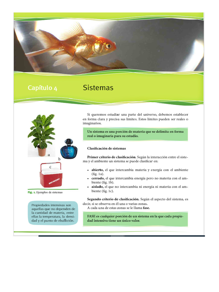 Sistemas Definicion y Clasificacion | PDF