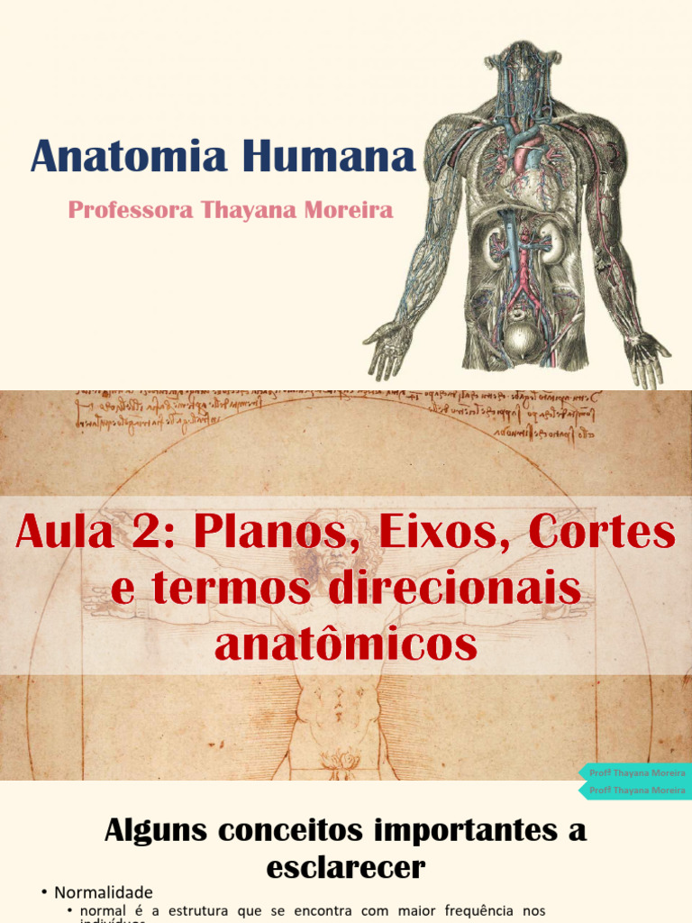 AULA 02 PLANOS E EIXOS | PDF | Corpo humano | Anatomia