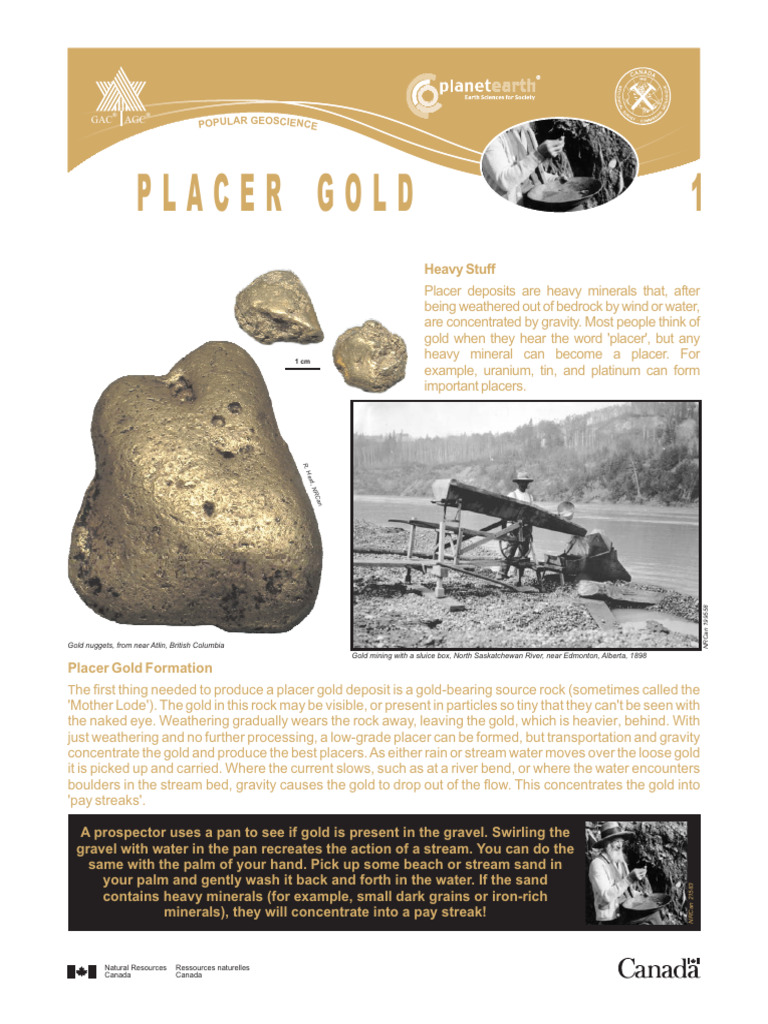 Placer Gold | PDF | Gold Rushes | Gold
