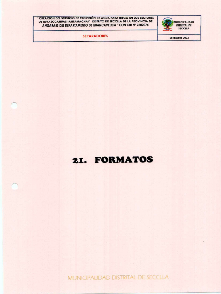 21.+formatos 20240508 150822 327 | PDF