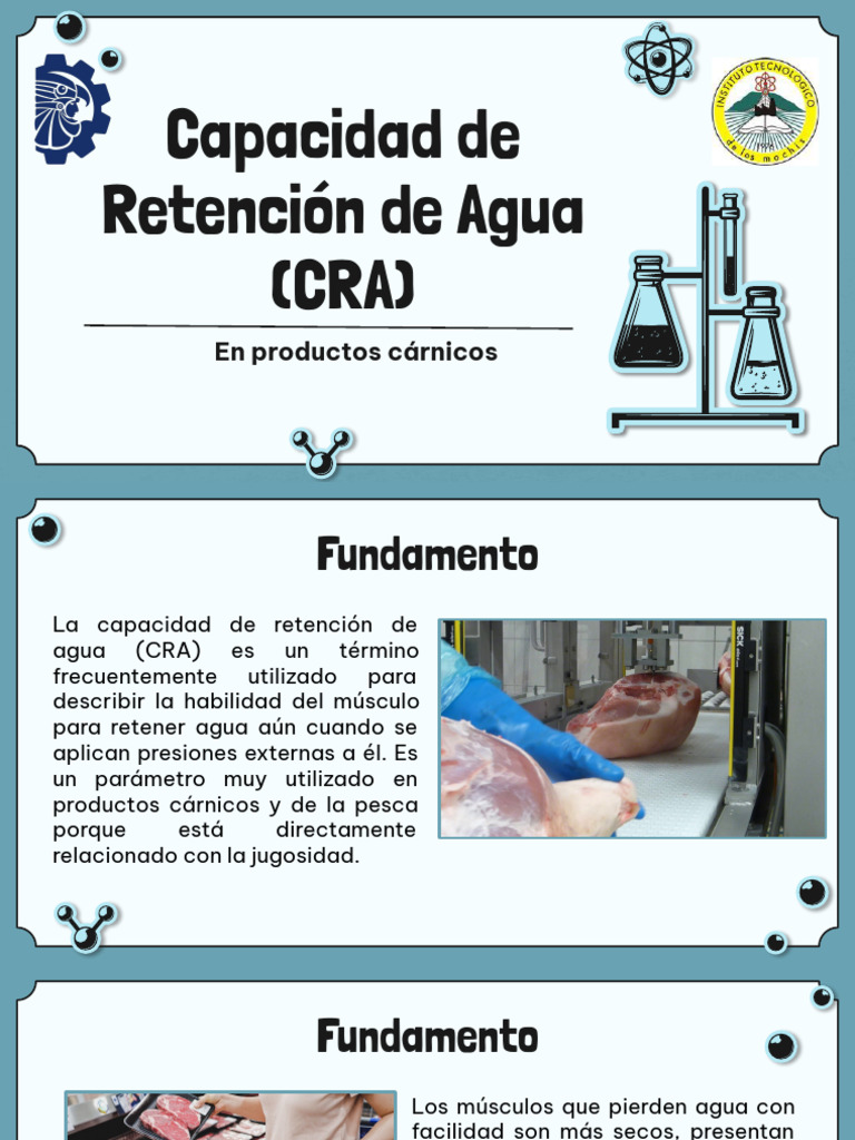 Capacidad de Retencion de Agua | PDF | Carne | Agua