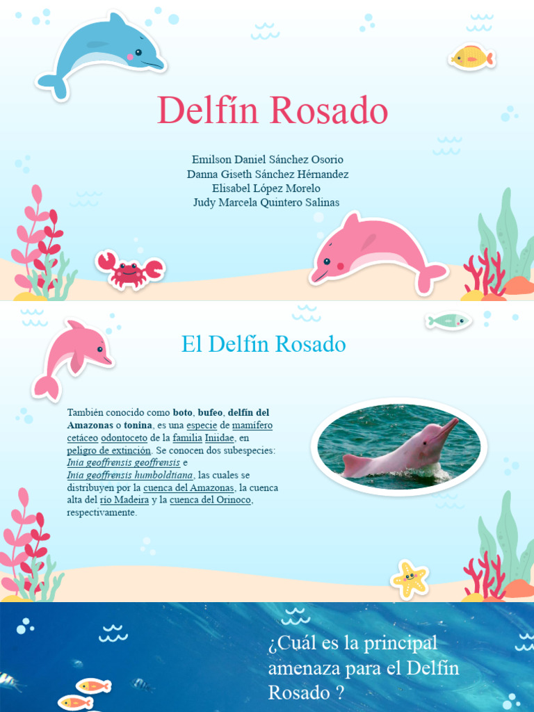 Delfin Rosado | PDF