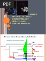Définition et classification des métazoaires | PDF | Anatomie | Biologie