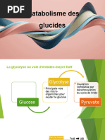 Cycle de l'urée et uréogenèse | PDF | Sciences physiques | Biologie