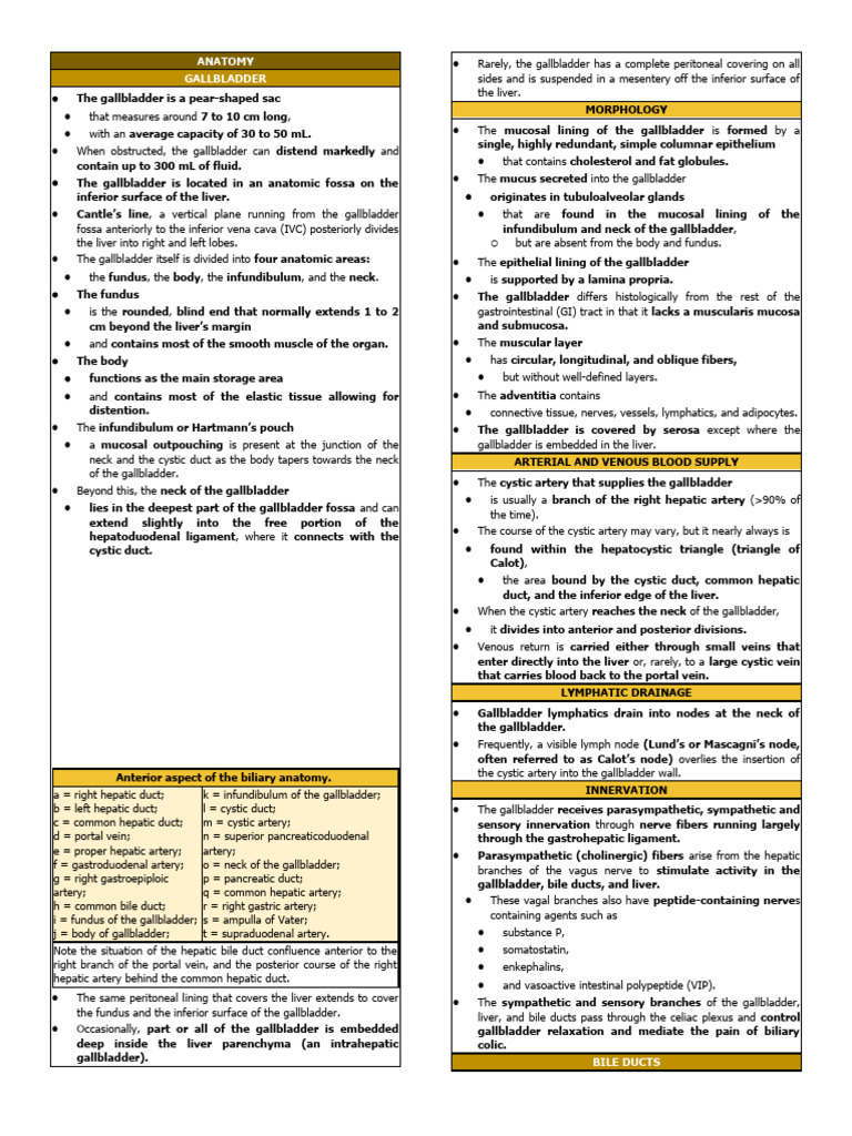 Gall Bladder ANATOMY | PDF | Gallbladder | Liver