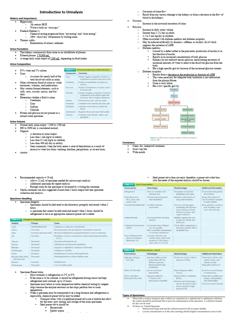 Introduction to Urinalysis | PDF | Urine | Urology
