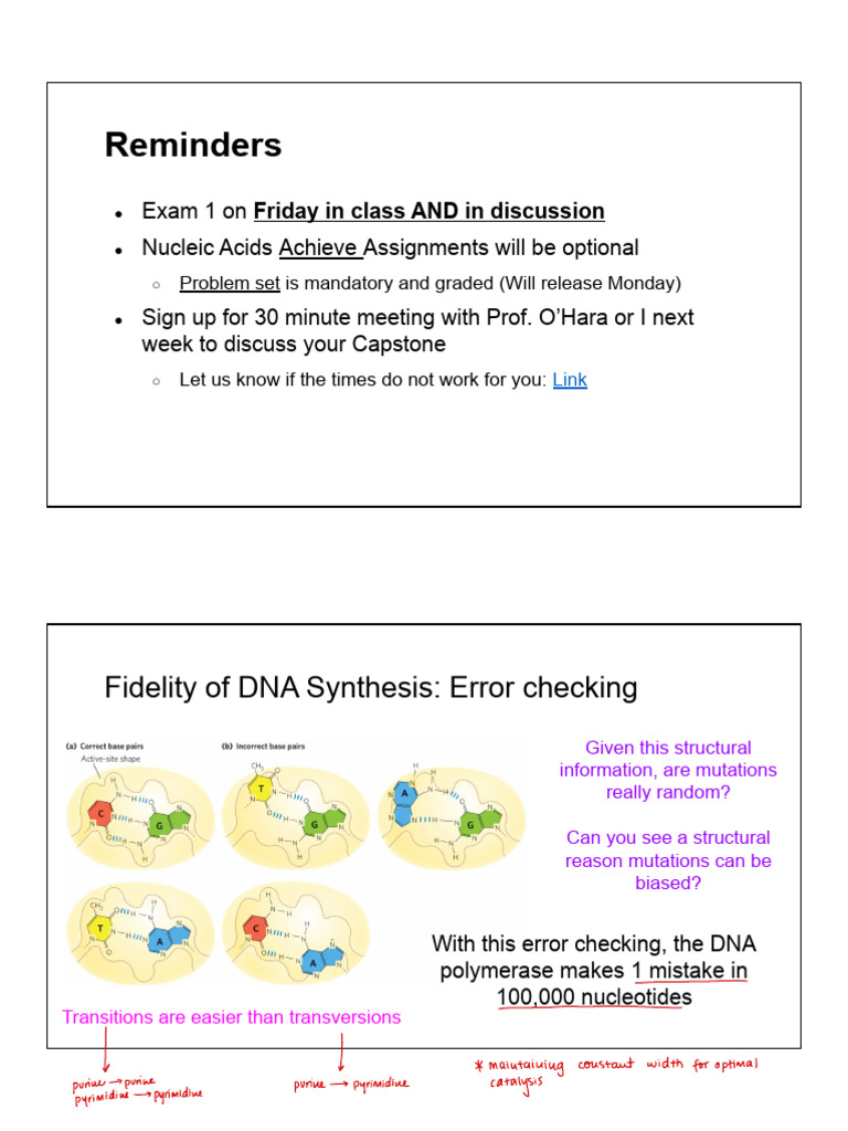 1 - DNA Structure and DNA Replication Day 2 TA Annotated | PDF | Dna ...