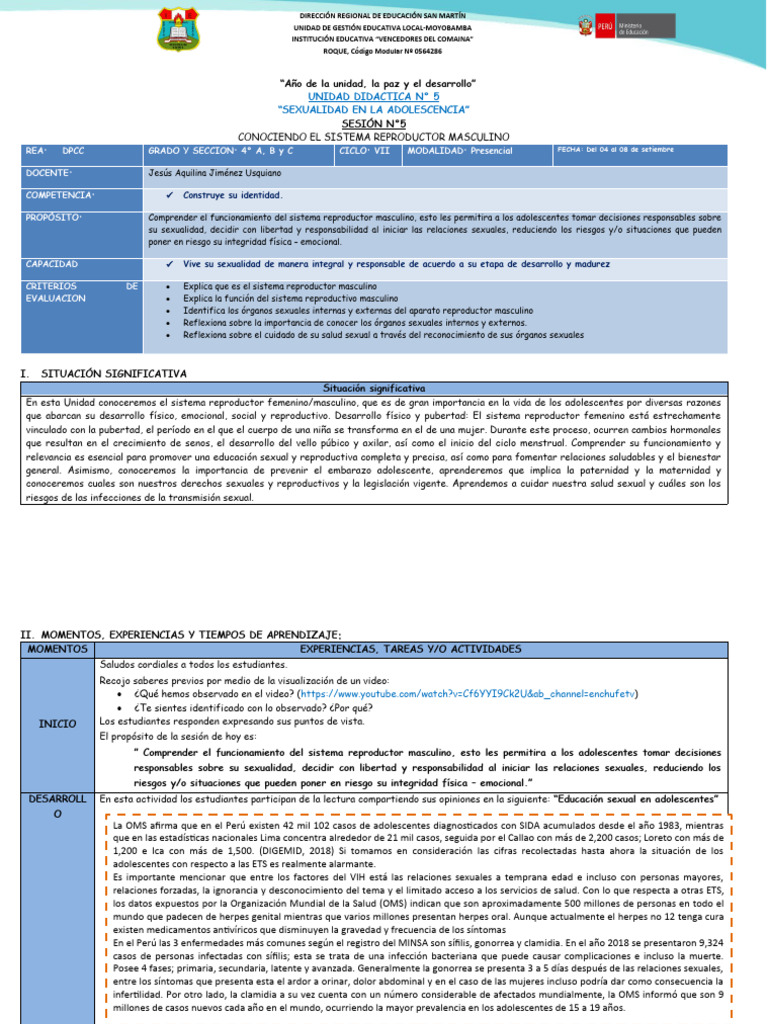 SESION DE APRENDIZAJE N 5 DPCC 4 A B y C TERCER BIMESTRE SEMANA 5 | PDF | Infección transmitida ...