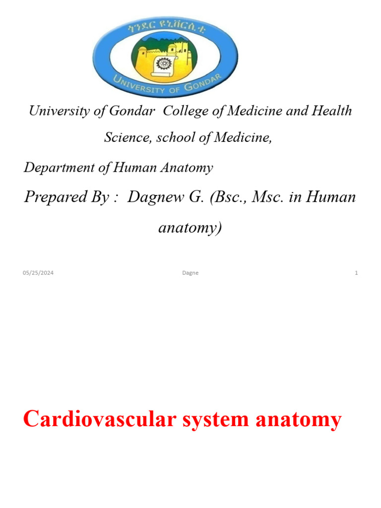 CVS Anatomy | PDF | Common Carotid Artery | Heart Valve