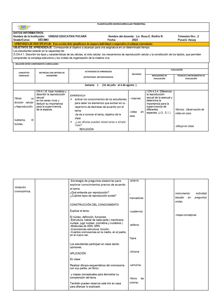 CCNN 2do Trimestre Décimo MODELO | PDF | Mitosis | Reproducción
