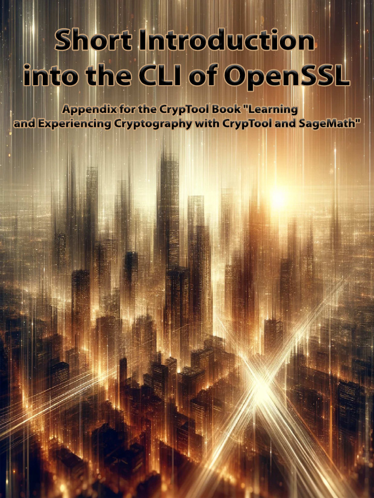 CTB Appendix OpenSSL en | PDF | Key (Cryptography) | Public Key Cryptography