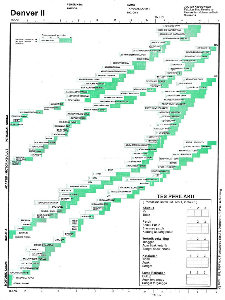 FORMAT DDST Bidd | PDF