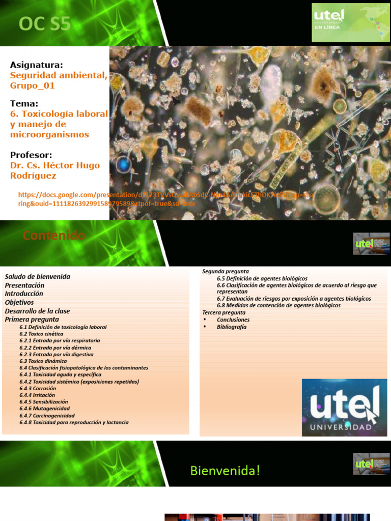 OC S5 Toxicologia | PDF | Toxicidad | Patógeno