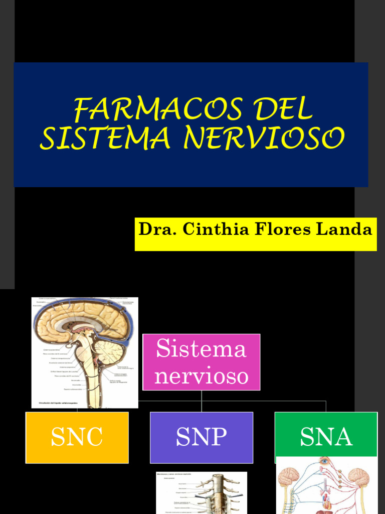 Farmacologia Del SNC y SNP 2023 | PDF | Benzodiazepinas | Antipsicótico