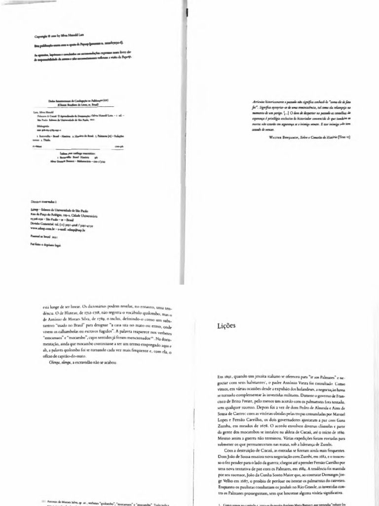 8 - Silvia Lara - Palmares & Cucaú - Conclusão | PDF | Educação em ...