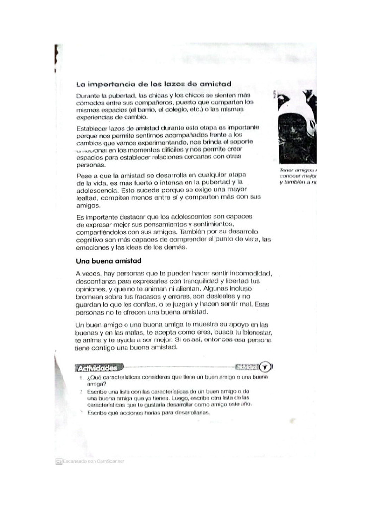 Amistad 2 | PDF