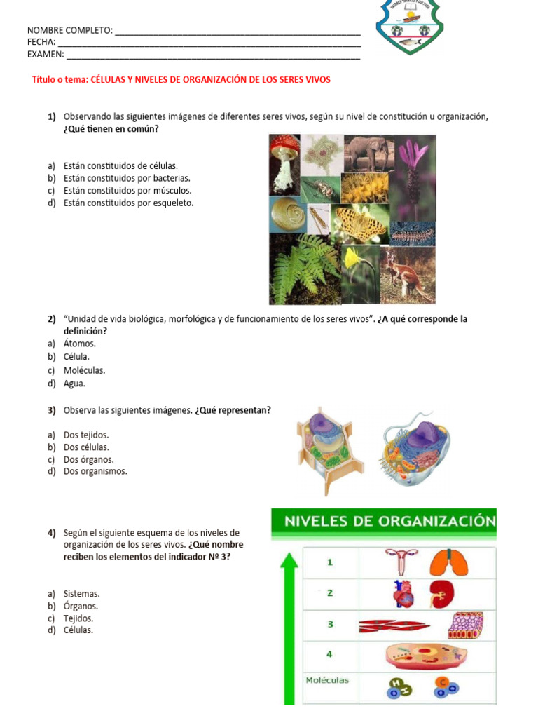Cs 5EGB U2 Eval Formativa Nº2 Células y Niveles Organización | PDF ...