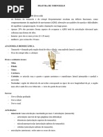 11 - Região Poplítea | PDF | Joelho | Anatomia humana