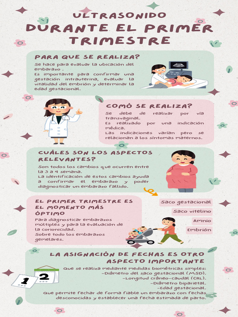 INFOGRAFÍA PRIMER TRIMESTRE | PDF | El embarazo | Maternidad