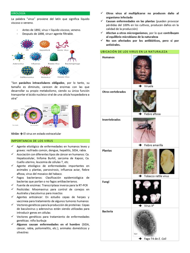 Virología Hasta Min 5 Segunda Clase | PDF | Virus | Bacteriófago