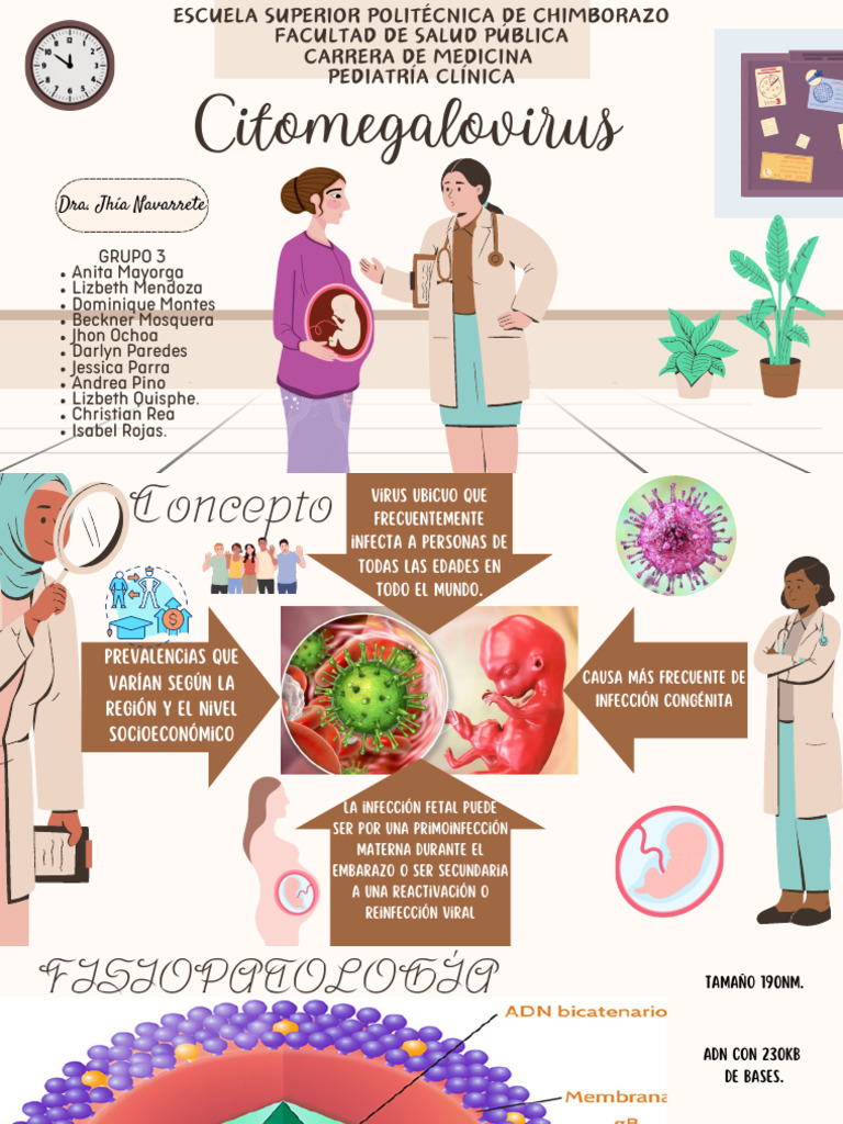 CITOMEGALOVIRUS | PDF | Enfermedades y trastornos | Ciencias de la Salud