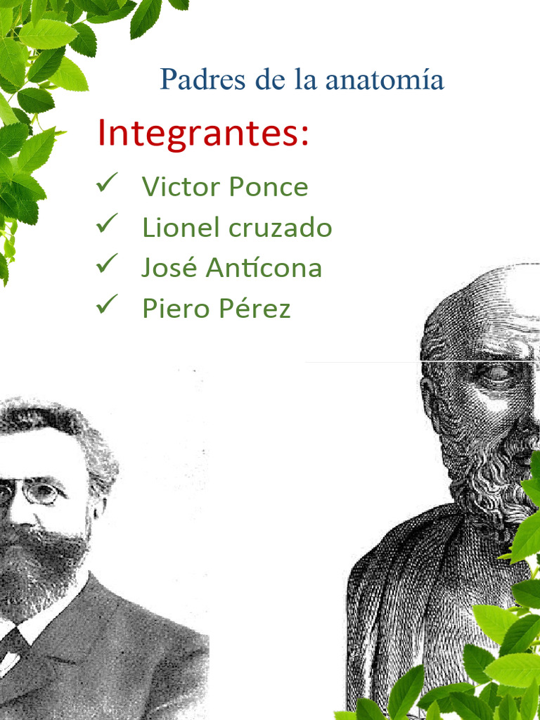 Herófilo: Padre de la Anatomía | PDF