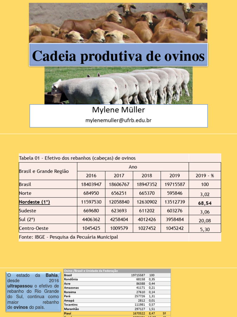 CCA286 Cadeia Produtiva de Ovinos 2024-1 | PDF | Ovelhas | Lã