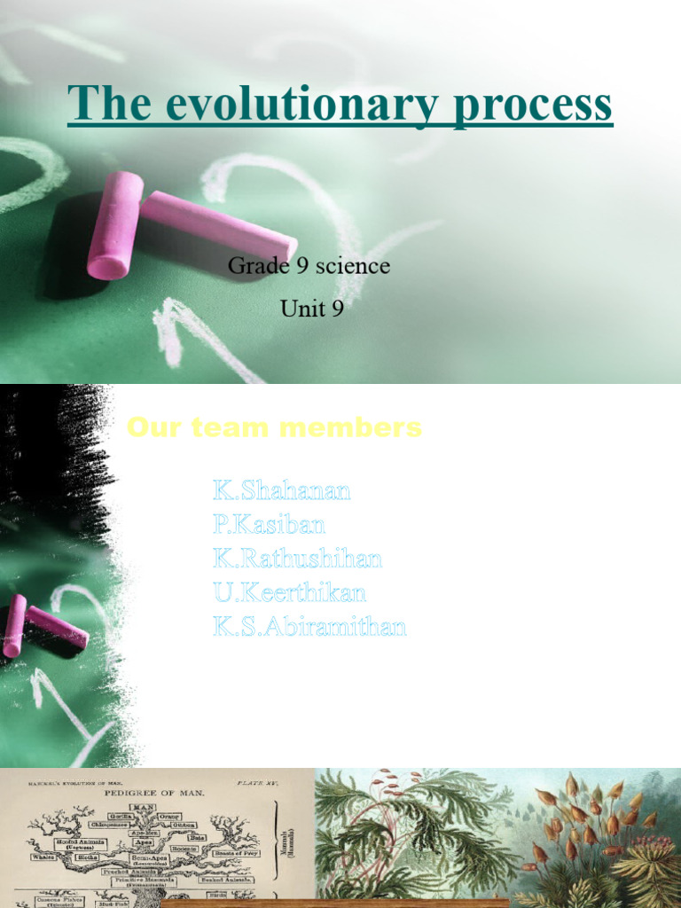 The Evolutionary Process | PDF | Abiogenesis | Earth