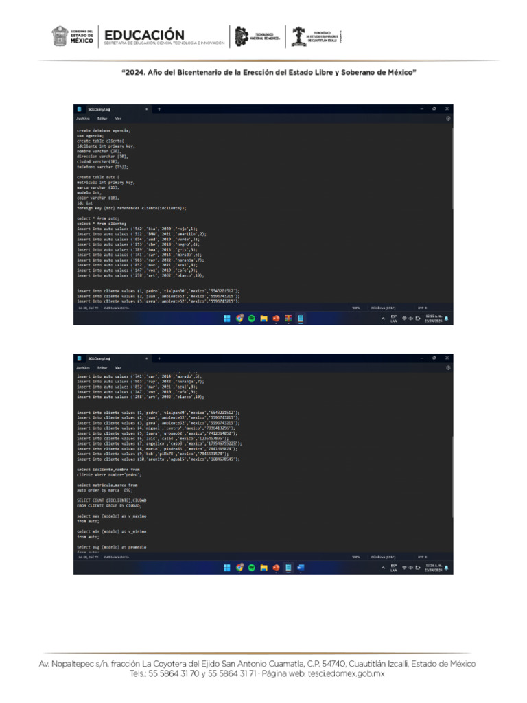 Práctica Consultas Básicas en SQL Server | PDF