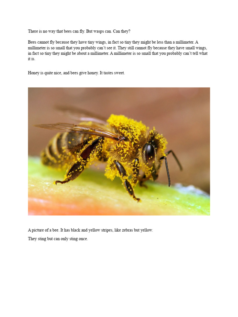 Bees 5 | PDF | Science & Mathematics