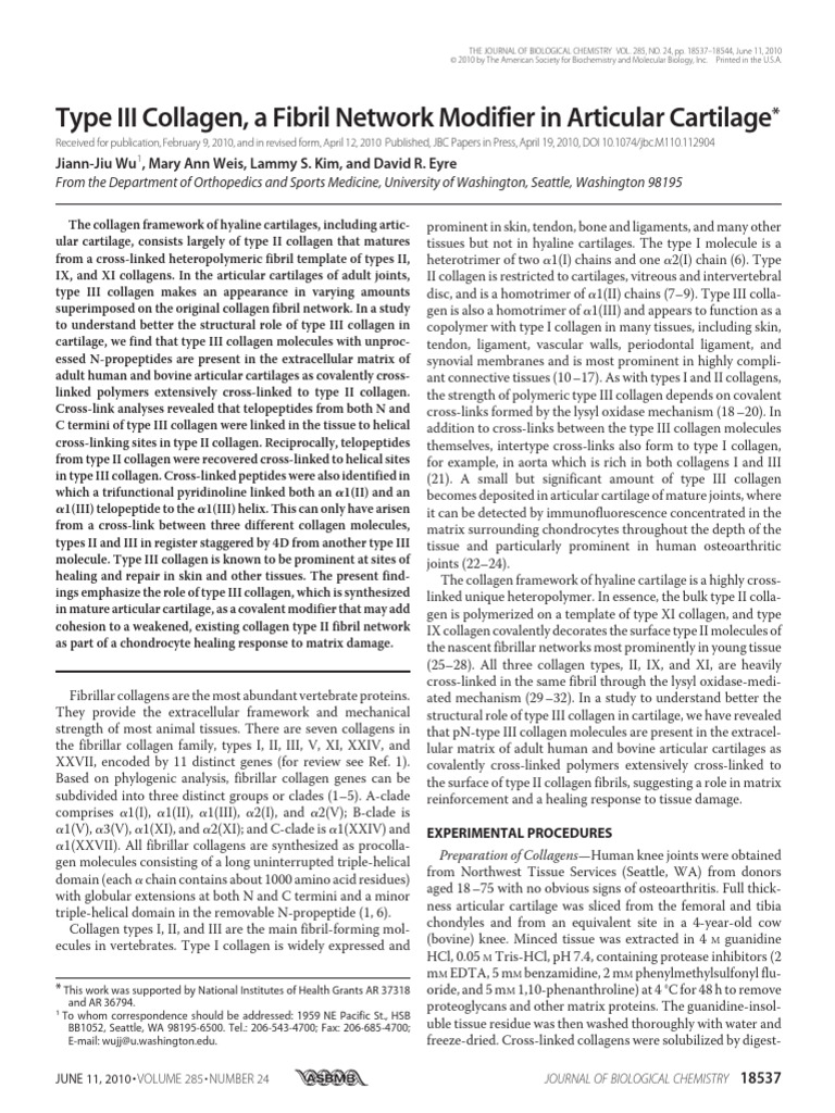 Role of Type III Collagen in Cartilage | PDF | Collagen | Western Blot