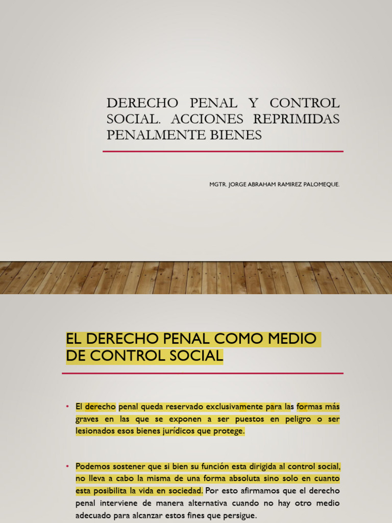 Derecho Penal y Control Social. Acciones Reprimidas Penalmente Bienes ...