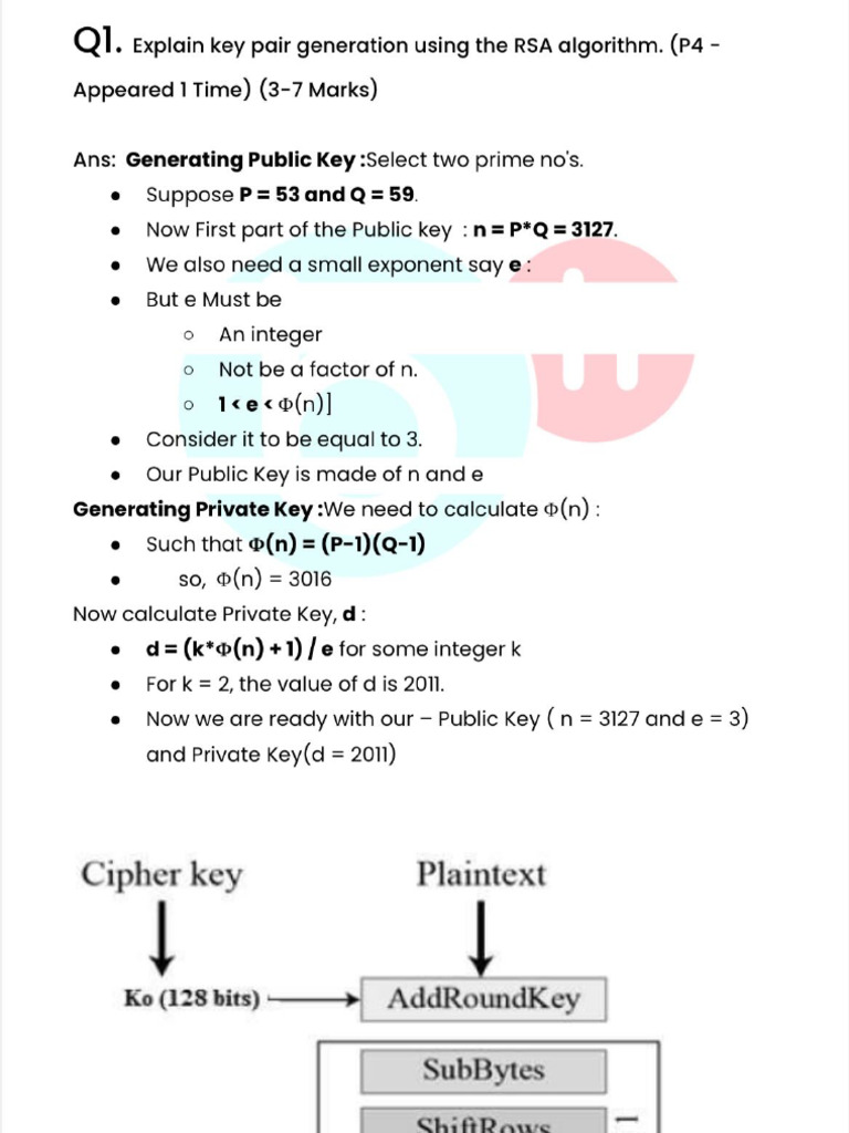 CNS | PDF