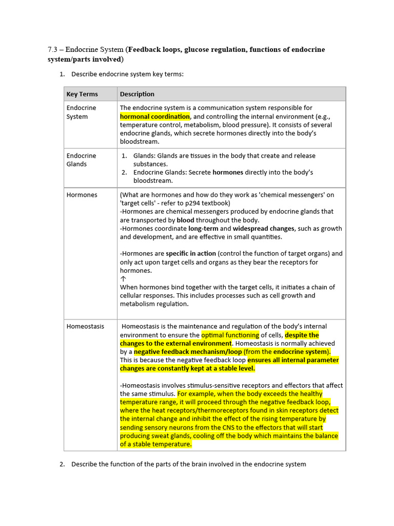 7.3 - Endocrine System (Feedback Loops-Glucose Regulation-Functions ...