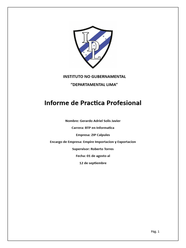 Informe de Practica Professional (2024) | PDF