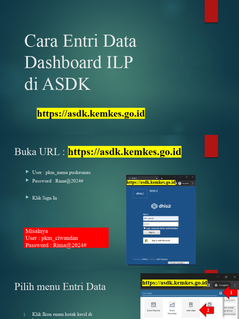 Cara Entri Data ILP Di ASDK MoH 30jan2024 | PDF