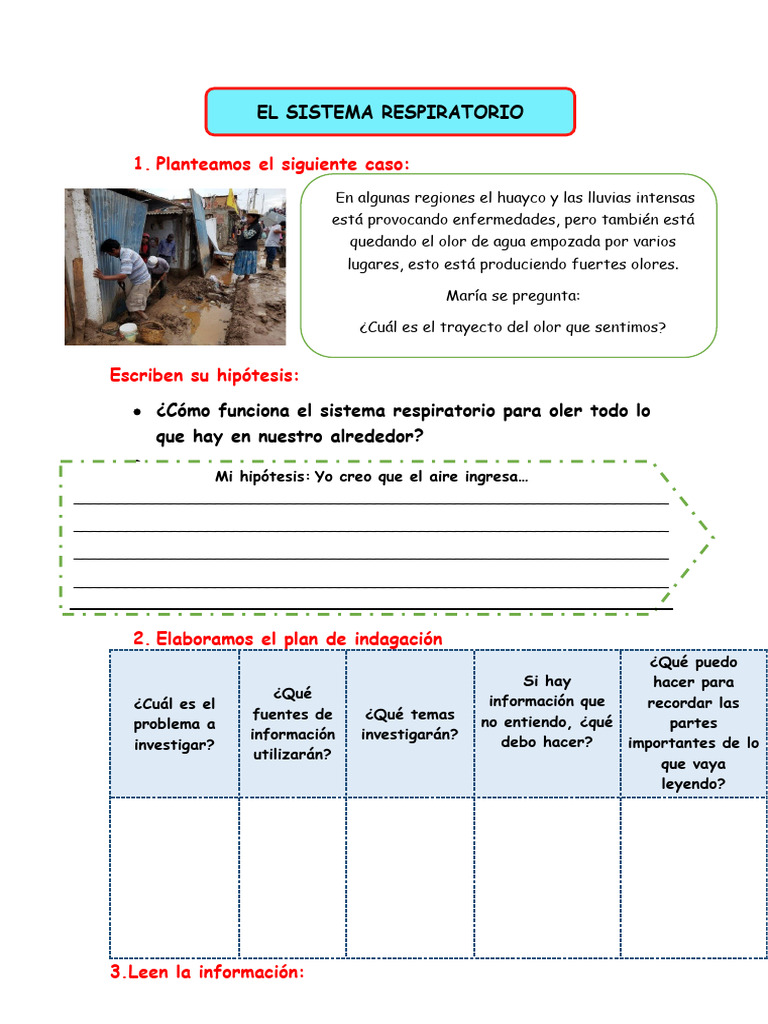 Fichas Del Sistema Respiratorio - Mayo | PDF | Sistema respiratorio ...