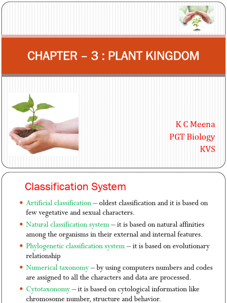 Chapter - 3 Plant Kingdom | Download Free PDF | Spore | Moss