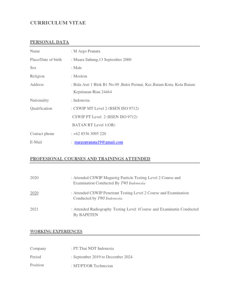 CV.M Argo Pranata | PDF | Nondestructive Testing | Tests