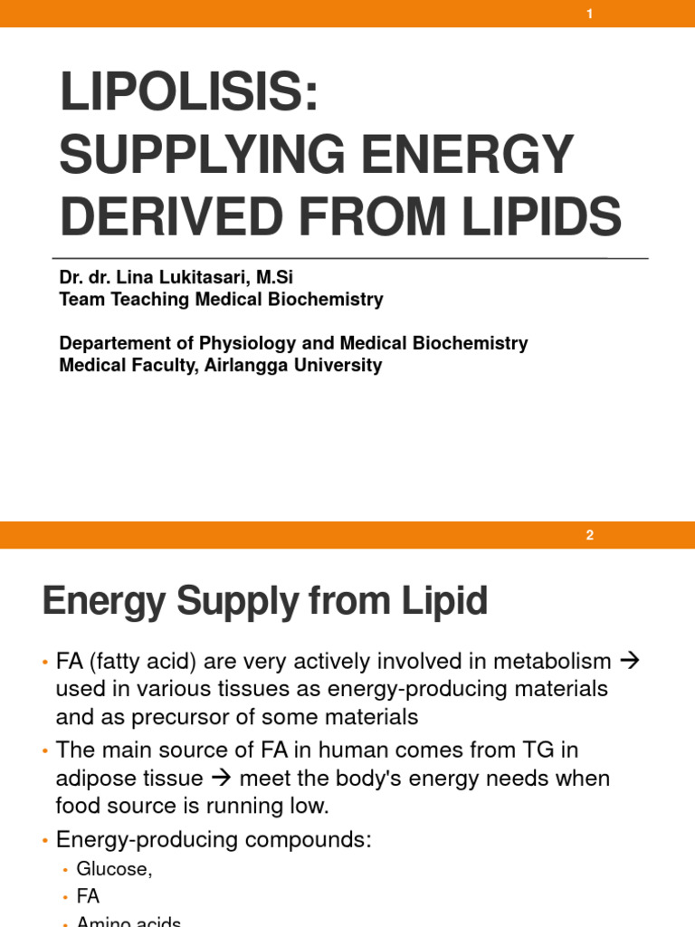 3-LipidMetab - Nutrition-LLR - 230220 - 102040 | PDF | Metabolism | Biochemistry