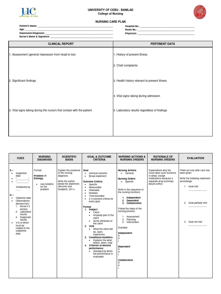 Nursing Care Plan FORM | PDF | Nursing | Medical Diagnosis