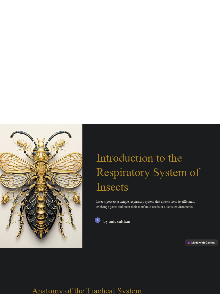 Insect Respiratory System Overview | PDF | Respiratory System | Biology