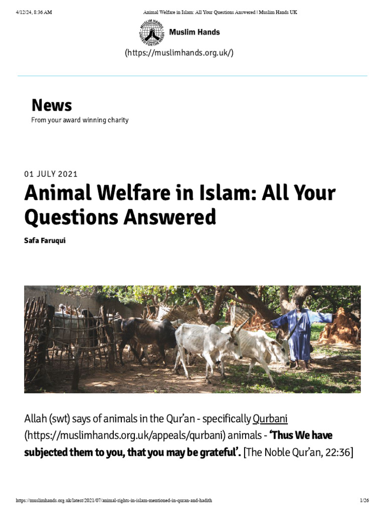 00 Animal Welfare in Islam - All Your Questions Answered - Muslim Hands ... 00 Animal Welfare in Islam - All Your Questions Answered - Muslim Hands ...