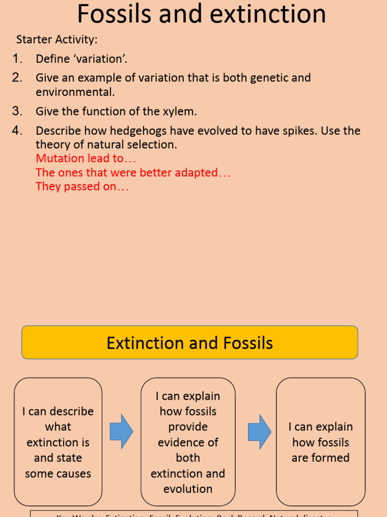 SV Fossils and Extinction | Download Free PDF | Extinction | Fossil